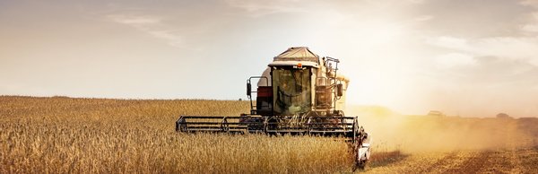 Wie wird man Landwirt:in? - Landwirtschaft verstehen
