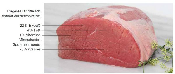 Einkauf und Lagerung von Rindfleisch - Weg der Lebensmittel ...