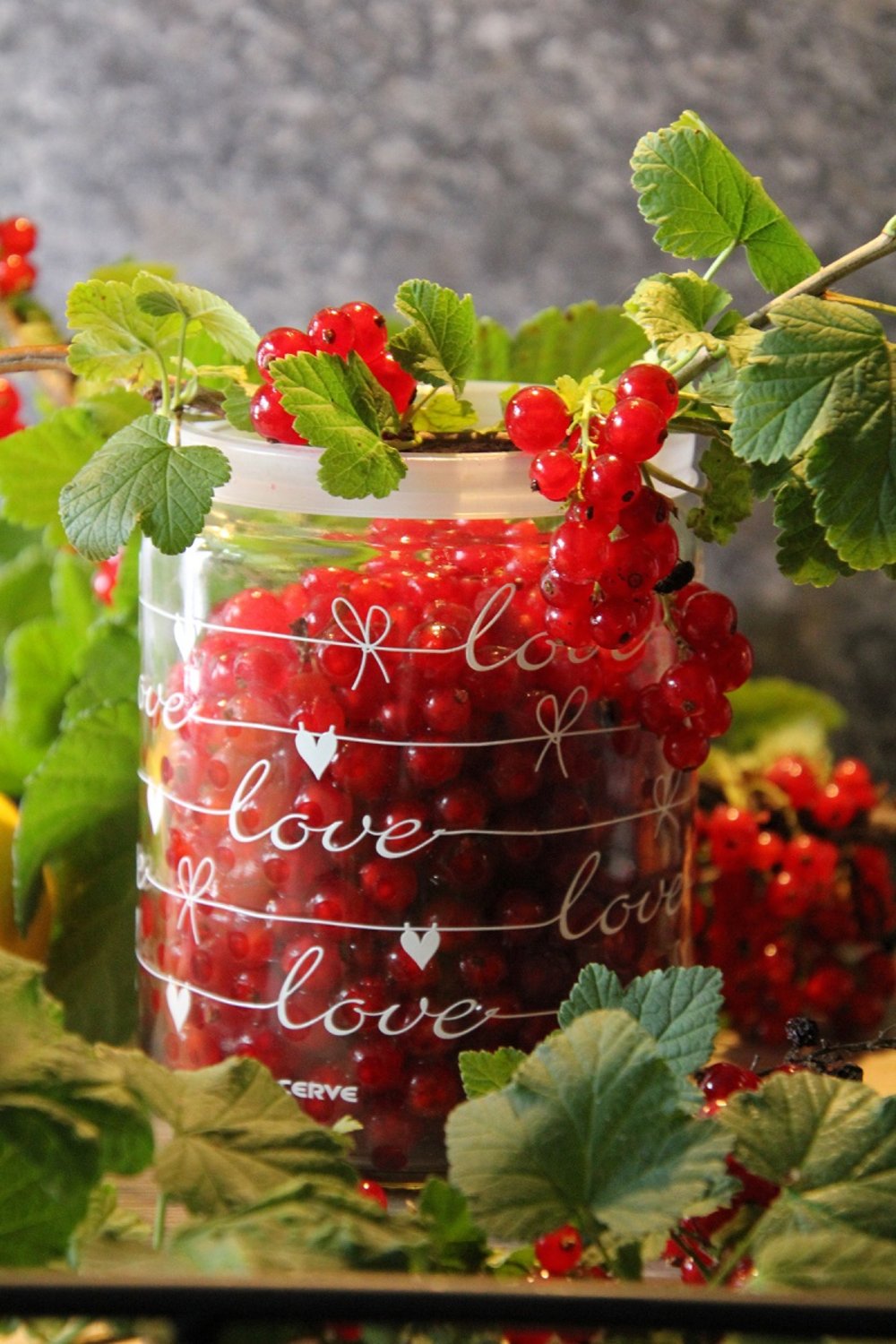 Ribisel-Marmelade - Landwirtschaft verstehen
