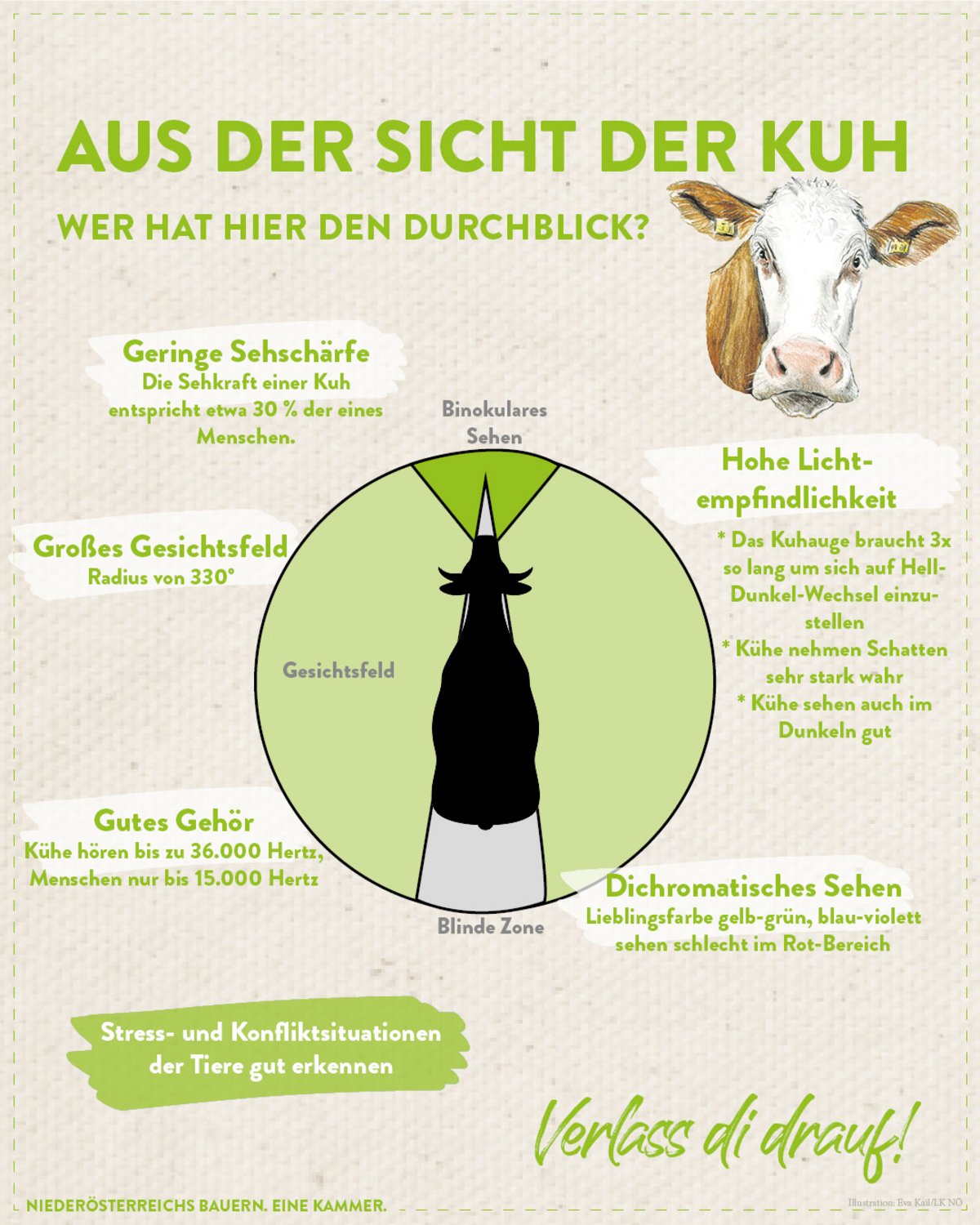 Aus der Sicht einer Kuh - Landwirtschaft verstehen