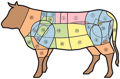 Fleischteilstücke vom Rind - Weg der Lebensmittel - Landwirtschaft ...