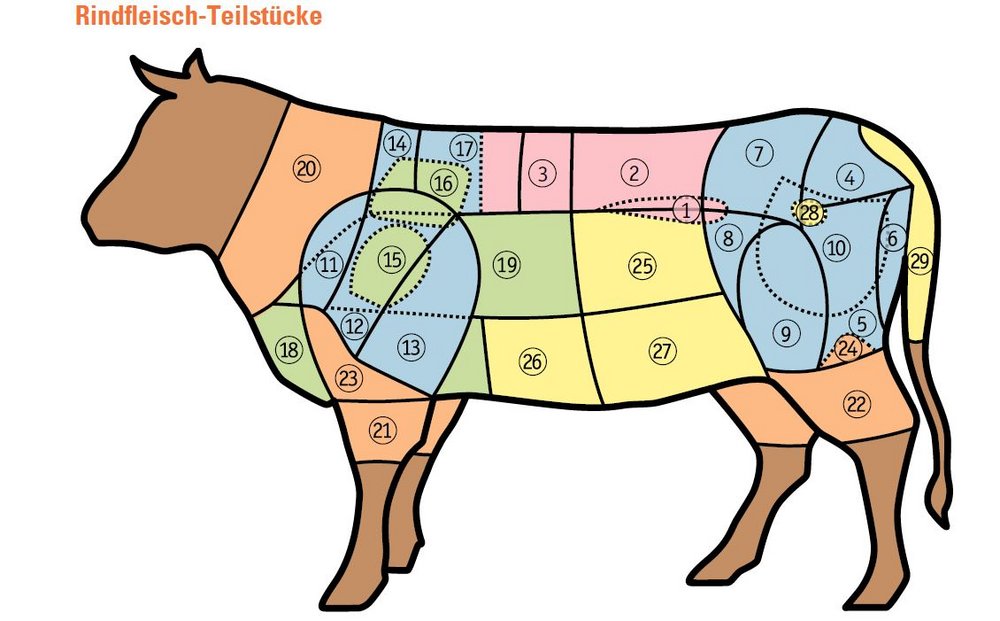 Gewinnung von Rindfleisch - Weg der Lebensmittel - Landwirtschaft verstehen