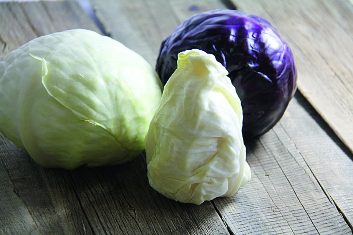 Wintergemüse - Landwirtschaft verstehen