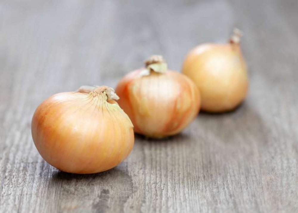Zwiebelgemüse - Landwirtschaft verstehen