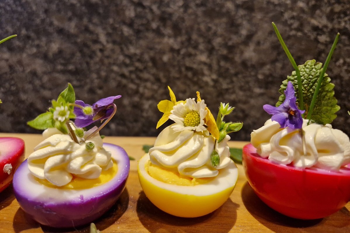 Bunte Eier - Landwirtschaft verstehen