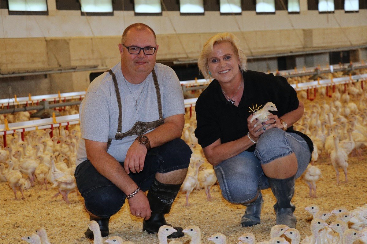 Putenhaltung in Niederösterreich - Landwirtschaft verstehen