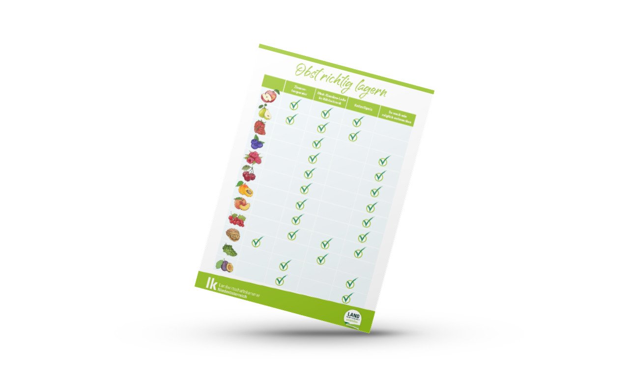 Obst richtig lagern - Landwirtschaft verstehen