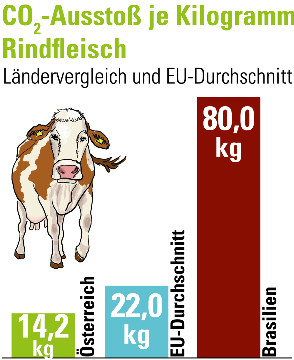 Tierhaltung und Klimawandel - Landwirtschaft verstehen
