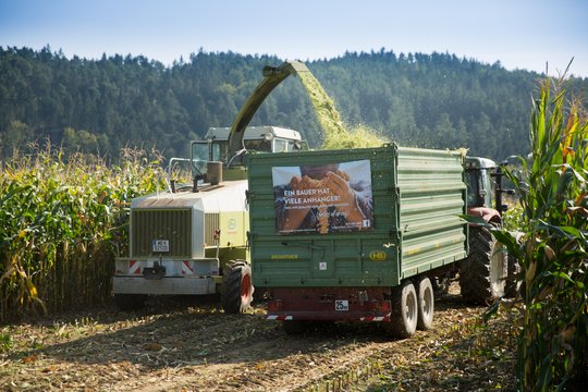 Wie wird man Landwirt:in? - Landwirtschaft verstehen