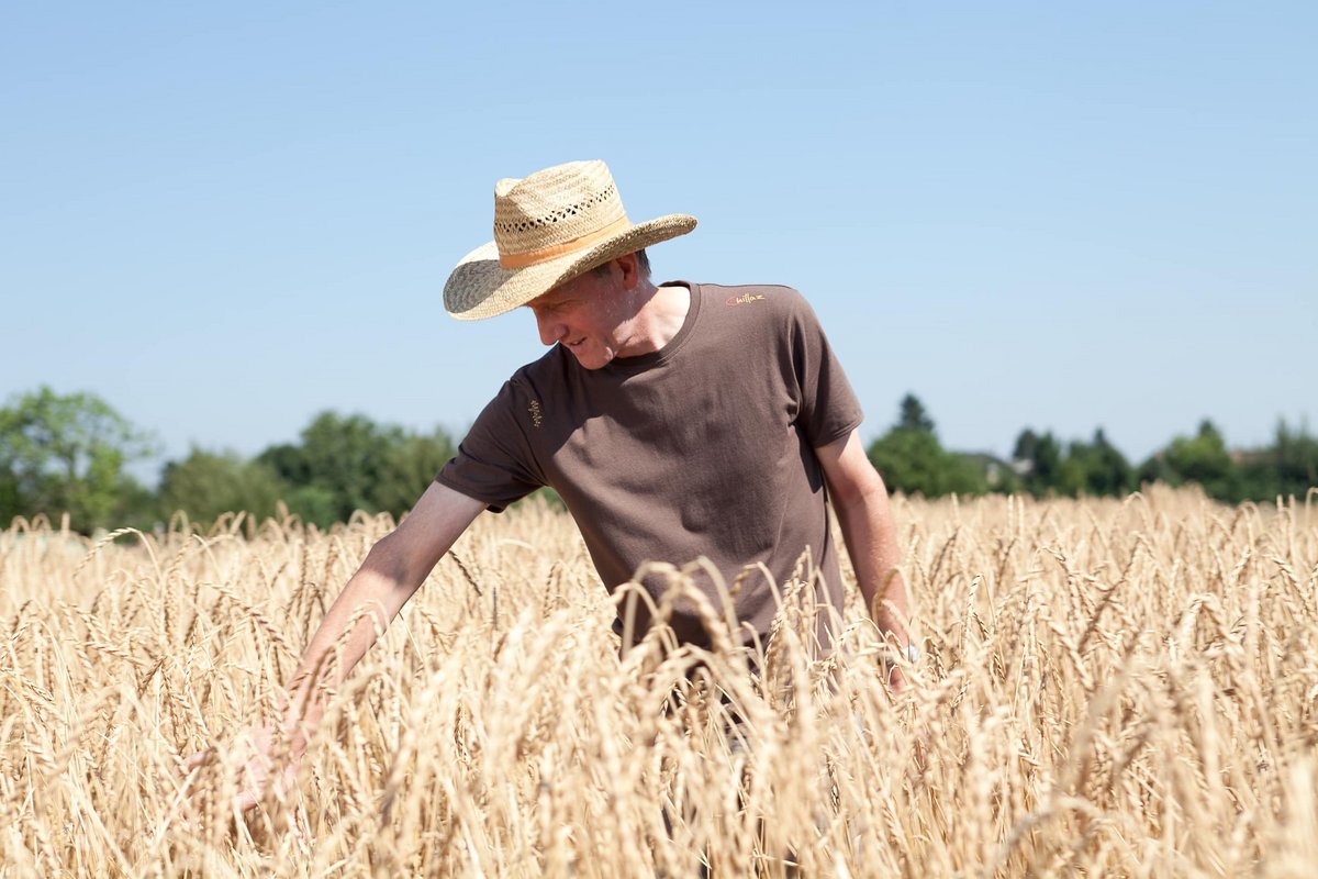 Bio AUSTRIA-Logo - Landwirtschaft verstehen
