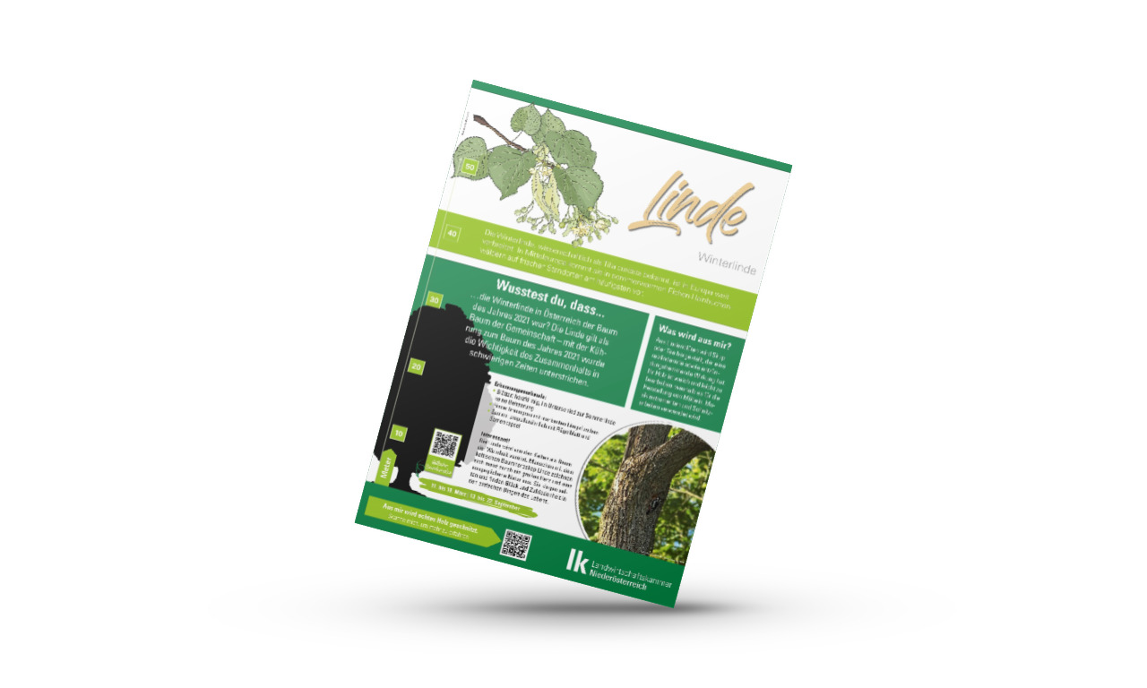 Linde Bauminfo: Forstwirtschaftliches Wissen im Hochformat ...