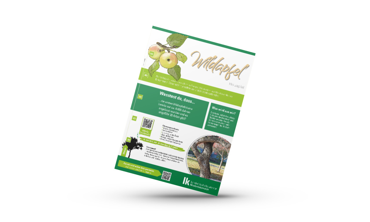 Wildapfel Bauminfo: Forstwirtschaftliches Wissen im Hochformat ...