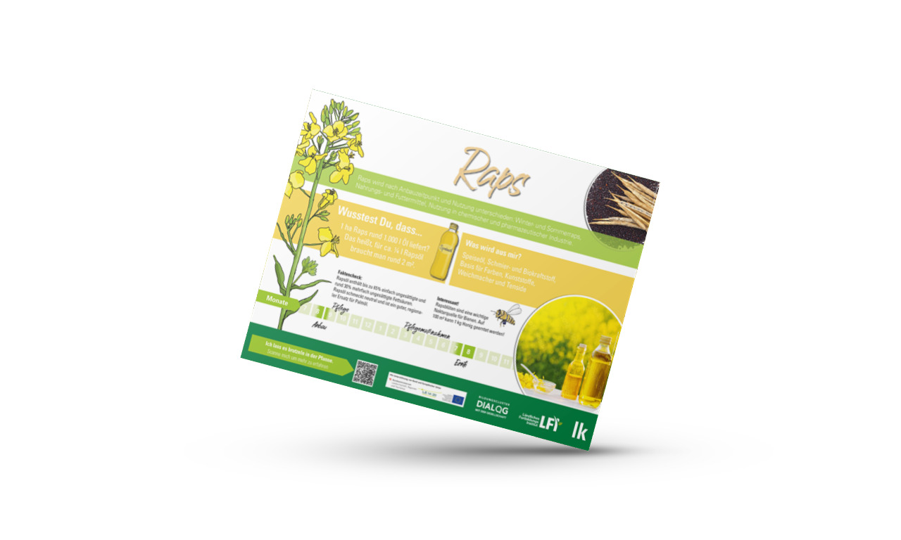 Raps Kulturinfo - Landwirtschaftliches Wissen im Querformat ...