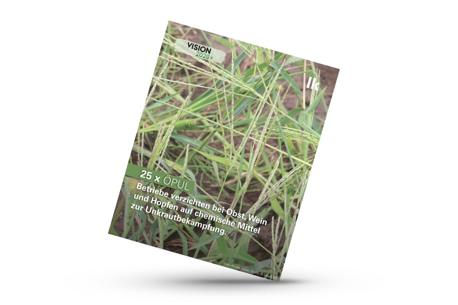 Unkrautbekämpfung ÖPUL - Alternative Methoden gezielt unterstützt ...