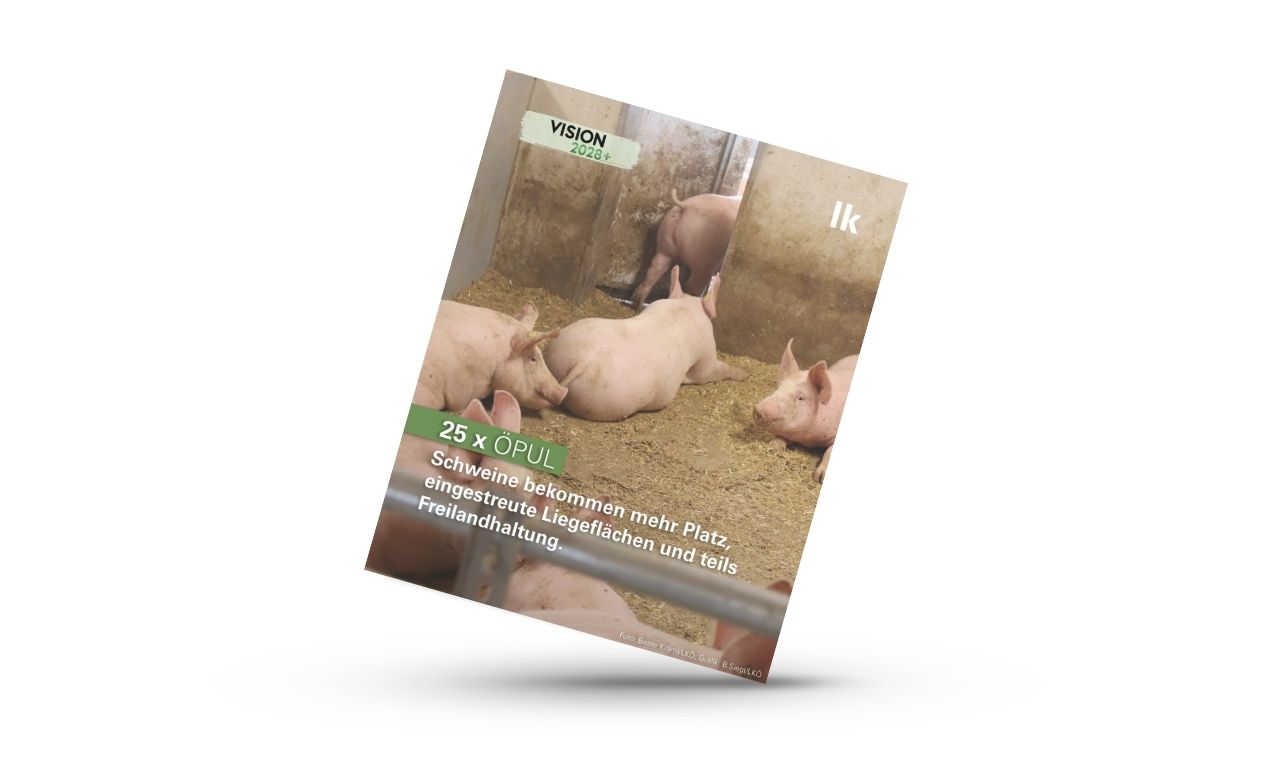 Schweinehaltung ÖPUL - Landwirtschaft verstehen