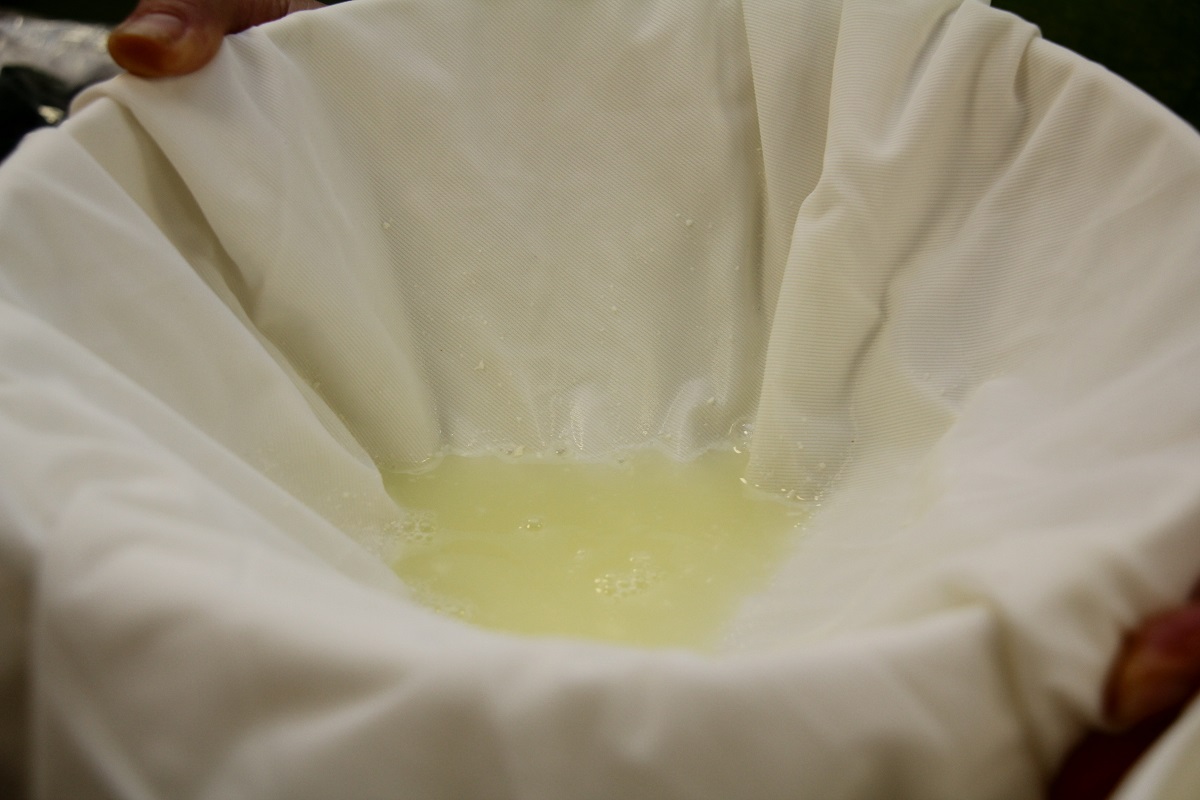 Weg der Lebensmittel - Milchprodukte - Landwirtschaft verstehen