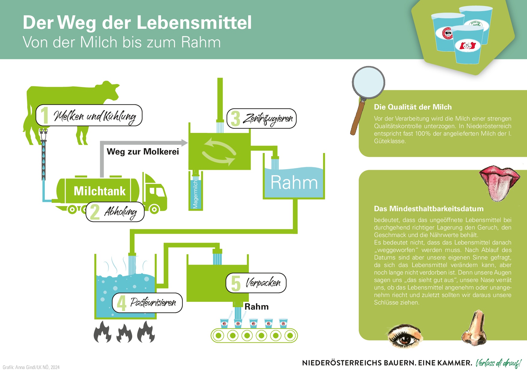 Weg des Rahms - Landwirtschaft verstehen